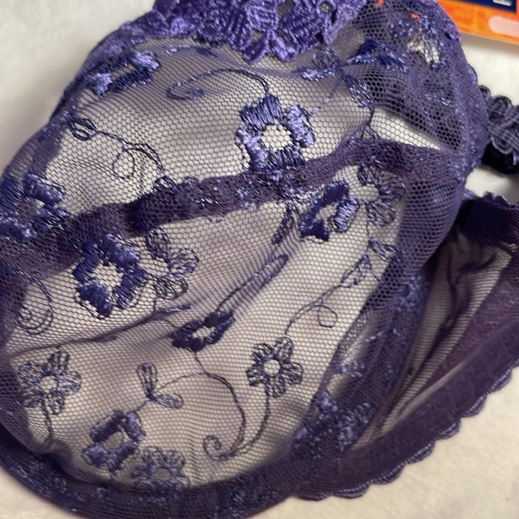 Passionata | Intimates & Sleepwear | Nwt Passionata Purple Lace Bra ...
